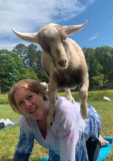 Carolina Goat Yoga & Snuggle Sessions | Connelly Springs, North ...